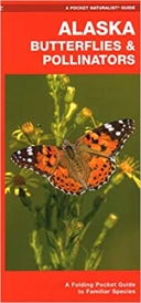 Pocket Naturalist: Alaska Butterflies & Pollinators – Alaska Books and ...